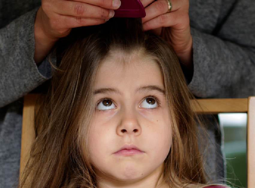 Debunking National Geographic’s Lice Myths - Hair Fairies